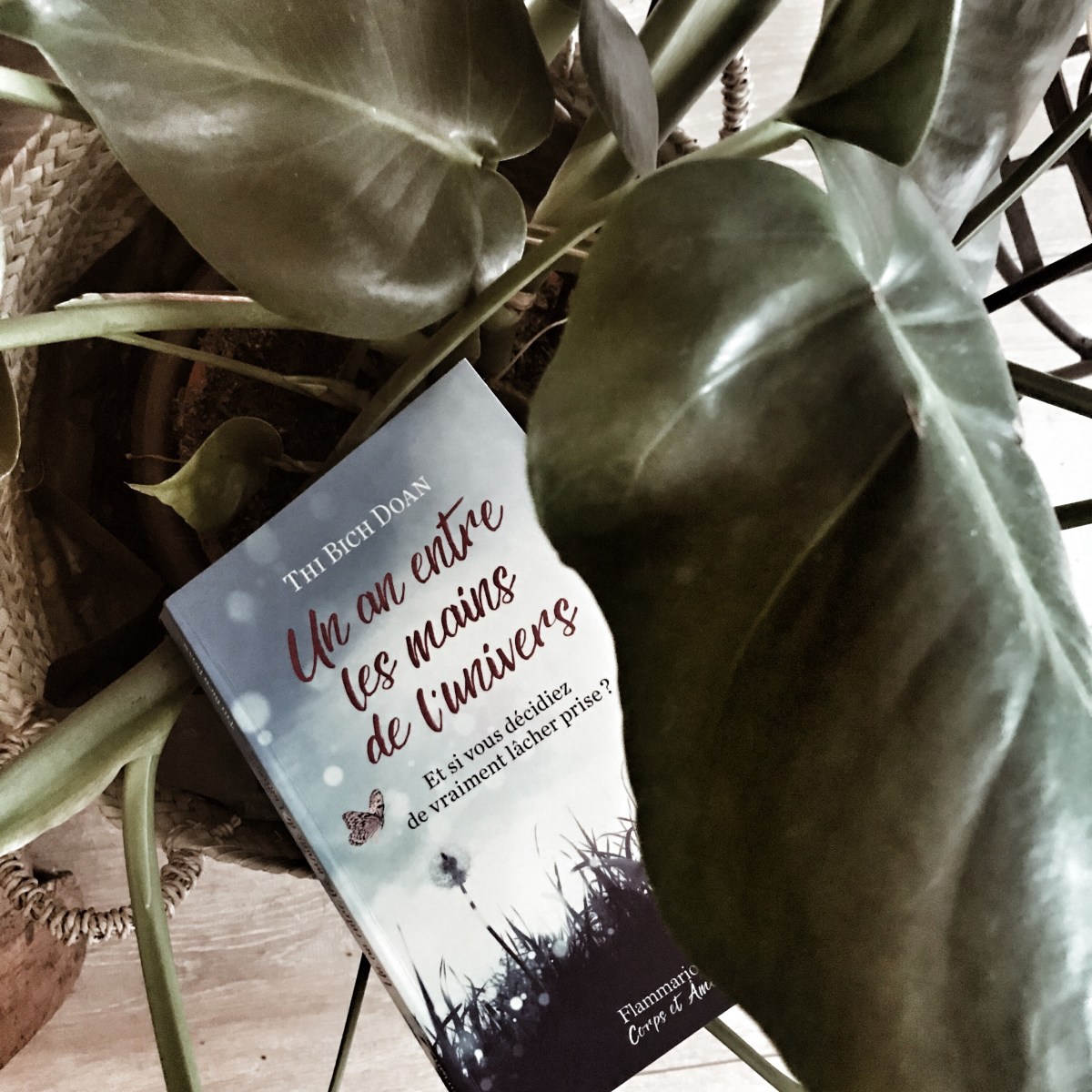 Un an entre les mains de l’univers, de Thi Bich Doan – Caroline Doudet