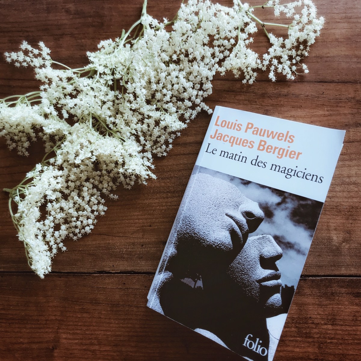 Le matin des magiciens de Louis Pauwels et Jacques Bergier : une ...