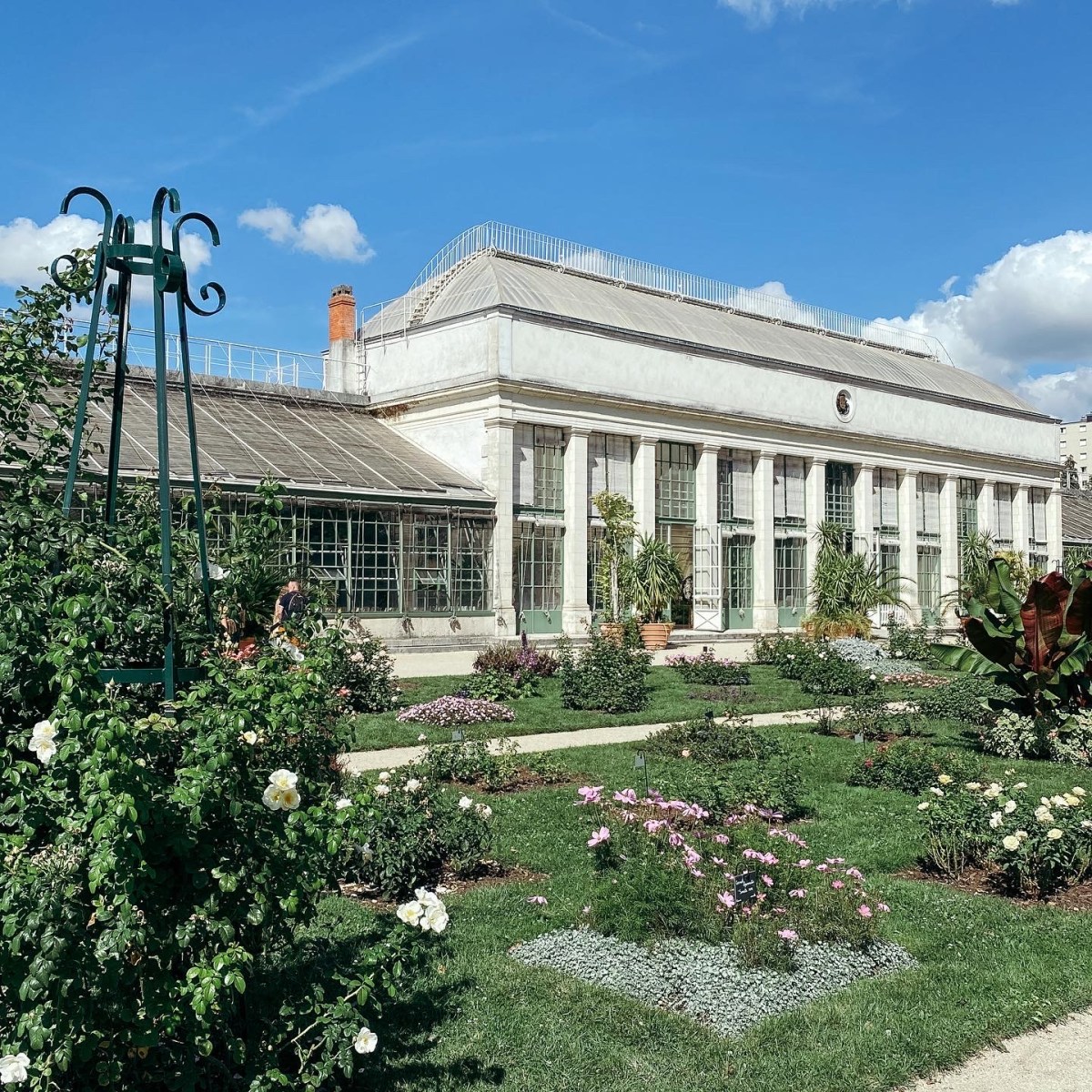 Nuances de roses – Caroline Doudet