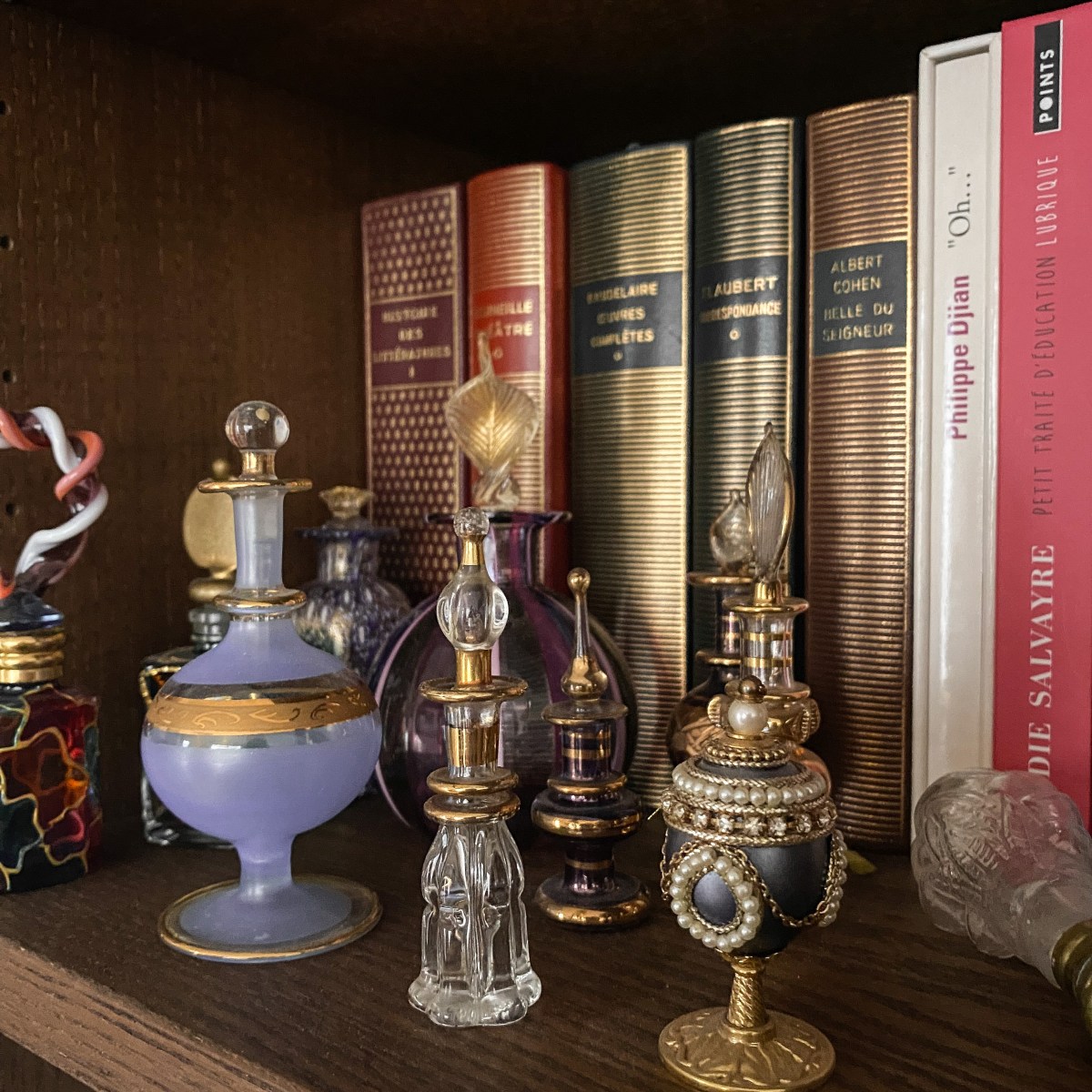 Collections – Caroline Doudet