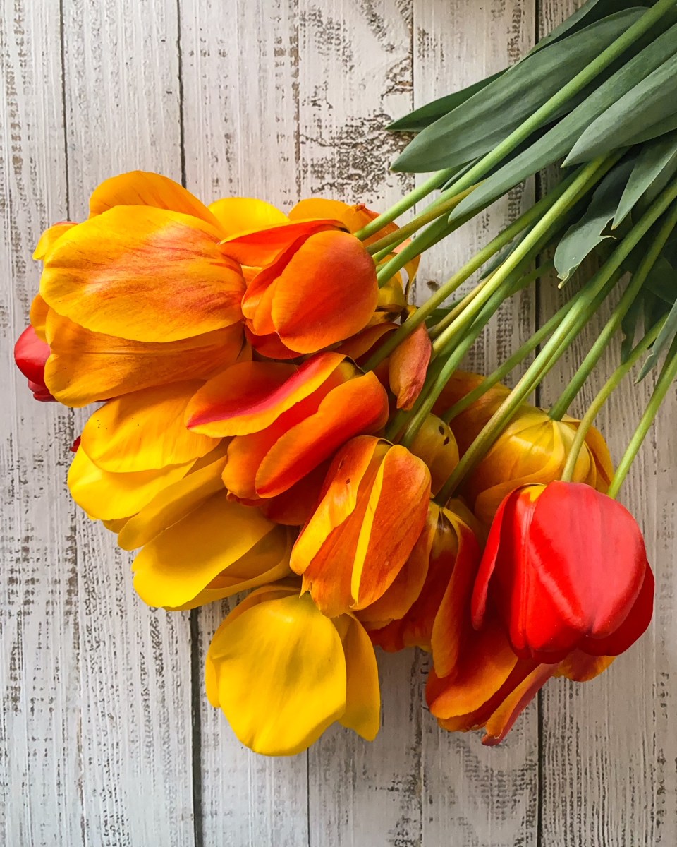 Les dernières tulipes – Caroline Doudet